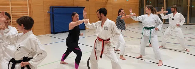 Tae Kwon Do (traditionell) | ZHS München